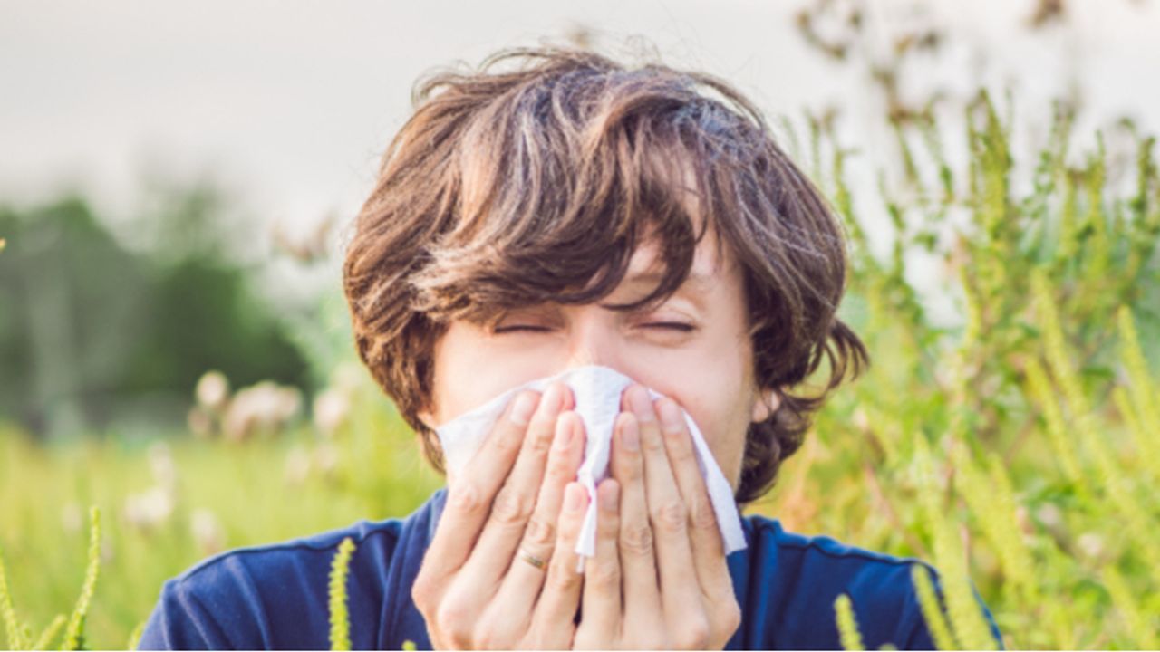 Allergy Therapeutics to showcase pollen and food allergy progress | AIM ...