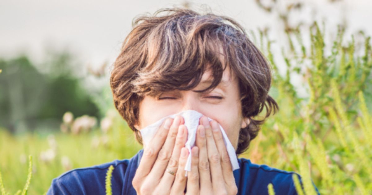Allergy Therapeutics to showcase pollen and food allergy progress | AIM ...