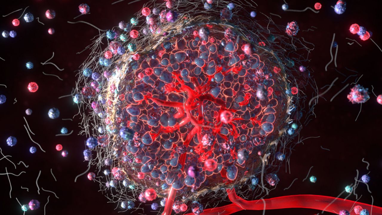 Iovance Biotherapeutics pushes cell therapy platform into solid tumor ...
