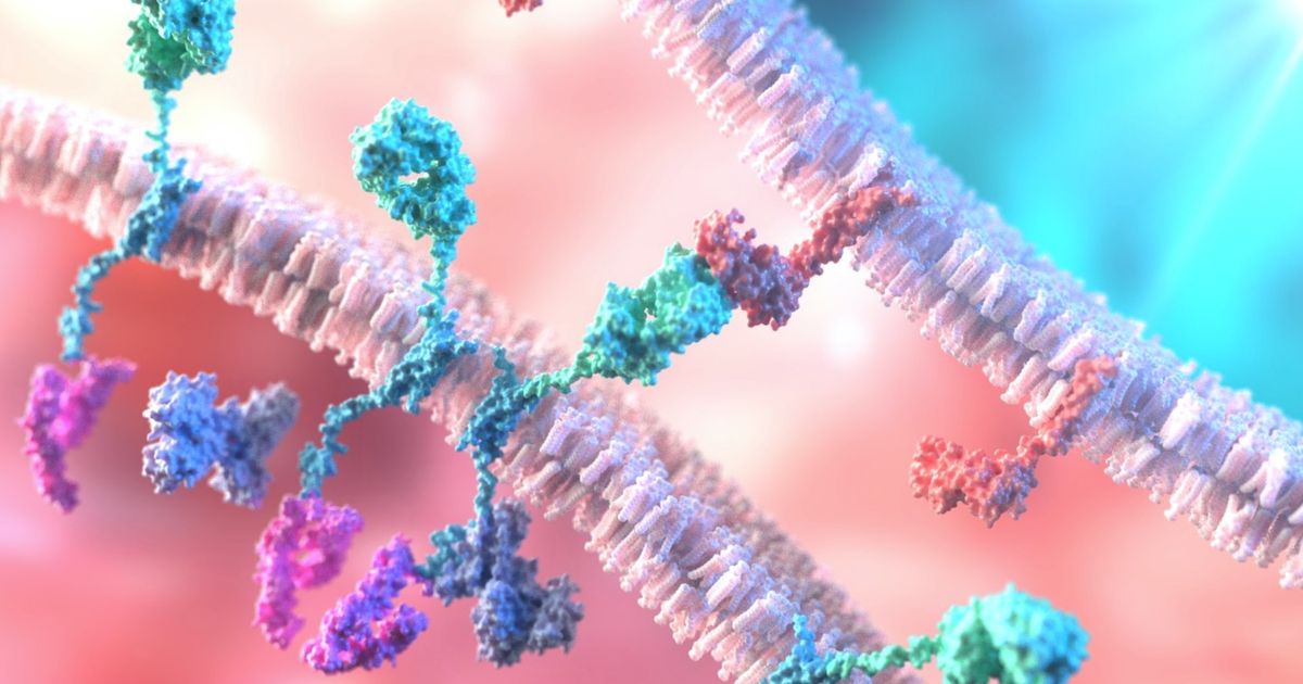 Thalia shares jump 20% on AML drug acquisition and £2.75m raise | AIM:THAT