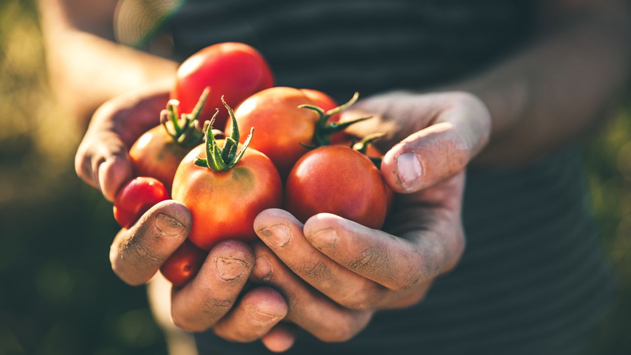 United Natural Foods shares fall after quarterly revenue miss | NASDAQ:UNFI