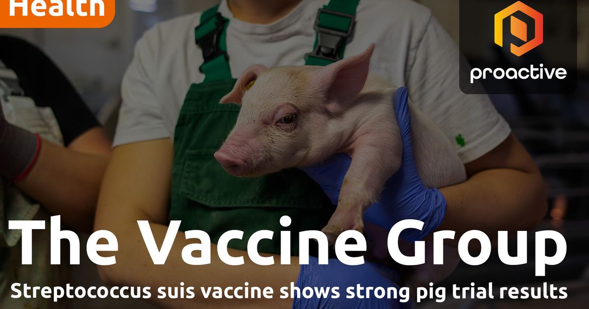 The Vaccine Group beats trial rival with Streptococcus suis candidate ...