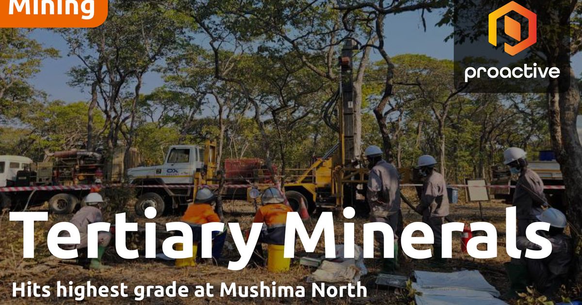 Tertiary Minerals MD on highest grade yet at Mushima North; eyes ...