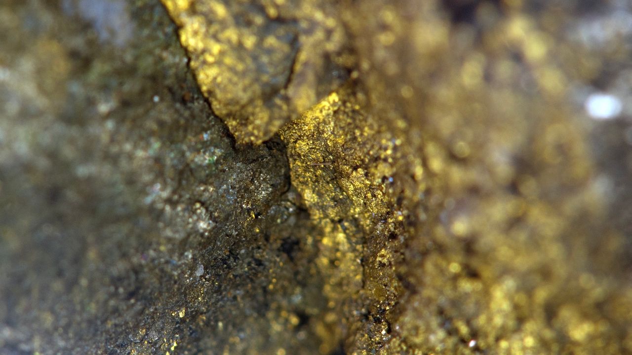 Far East Gold highlights gold scale in Papua - ICYMI | ASX:FEG
