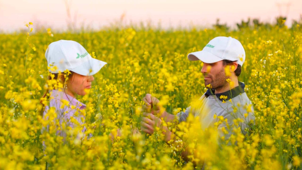 Nufarm extends bp partnership to 2050 to scale Carinata biofuel production