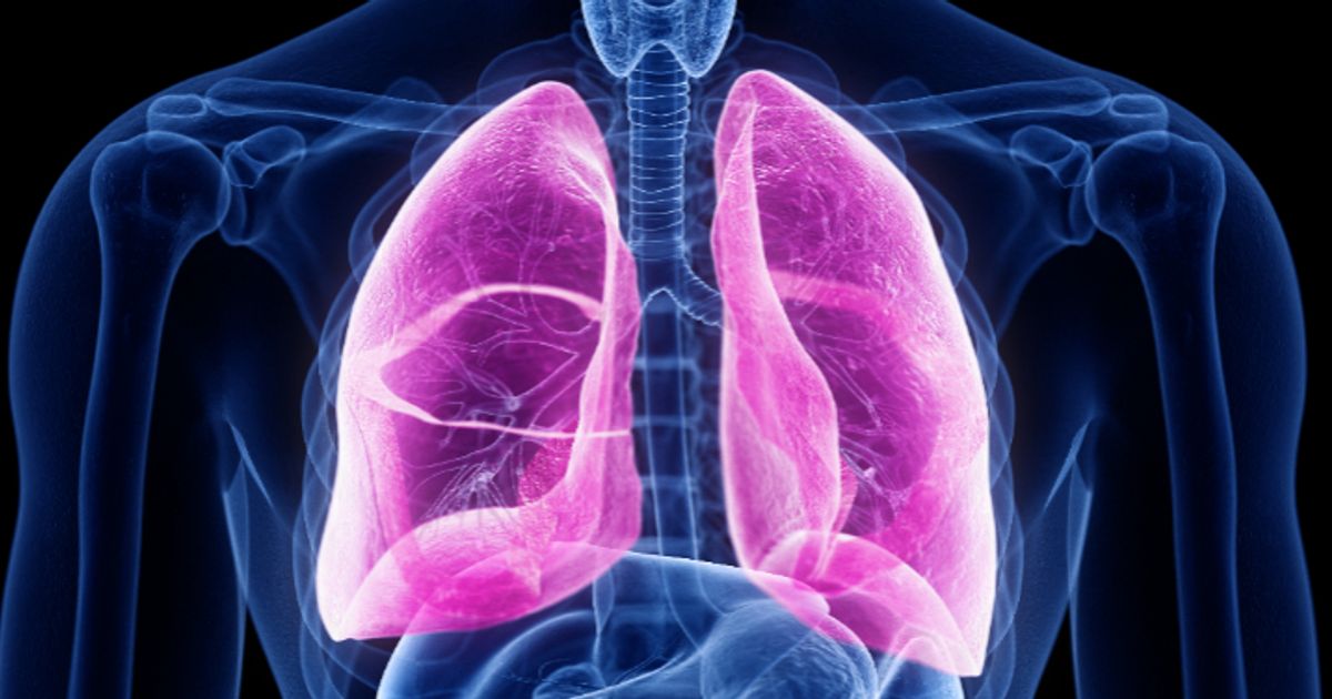 Pharmaxis Ltd expects review of Bronchitol NDA to be completed by mid ...