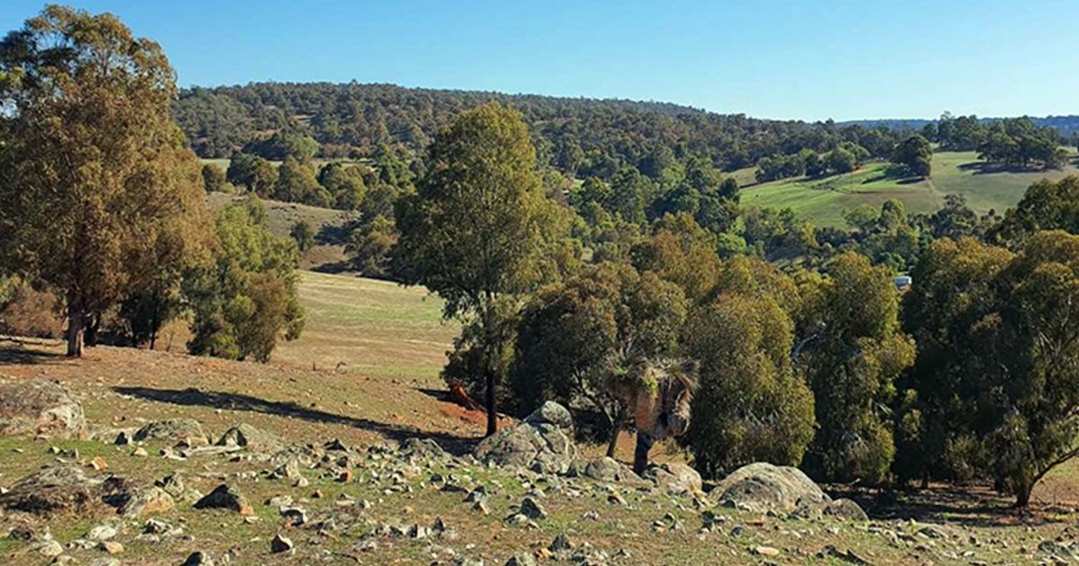 Oakdale Resources hosts site visit to new project adjacent to Julimar ...