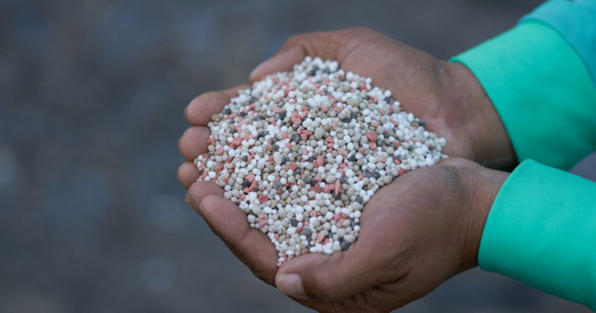 Emmerson PLC's Hayden Locke welcomes 'exceptional' feasibility study on ...