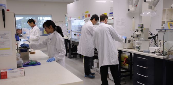 Pharmaxis granted orphan drug designation for PXS‐5505 by FDA for ...