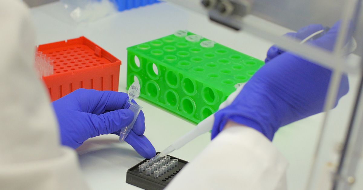 Co-Diagnostics technology to be used in FDA-authorized self-collected ...