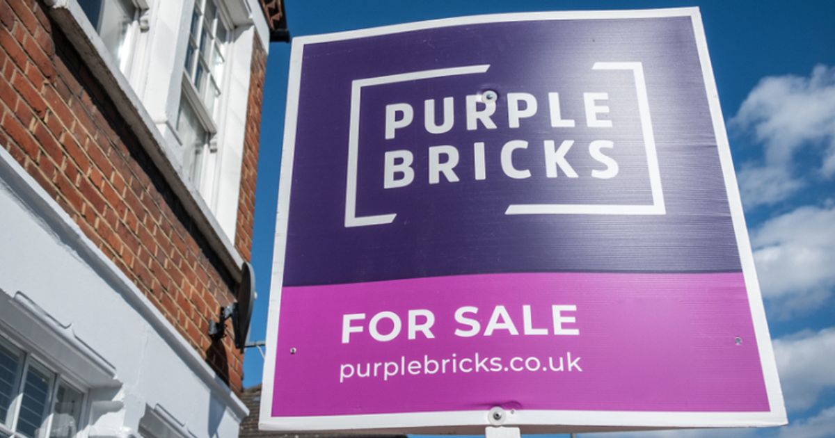 Purplebricks CEO focused on building share in UK through better ...