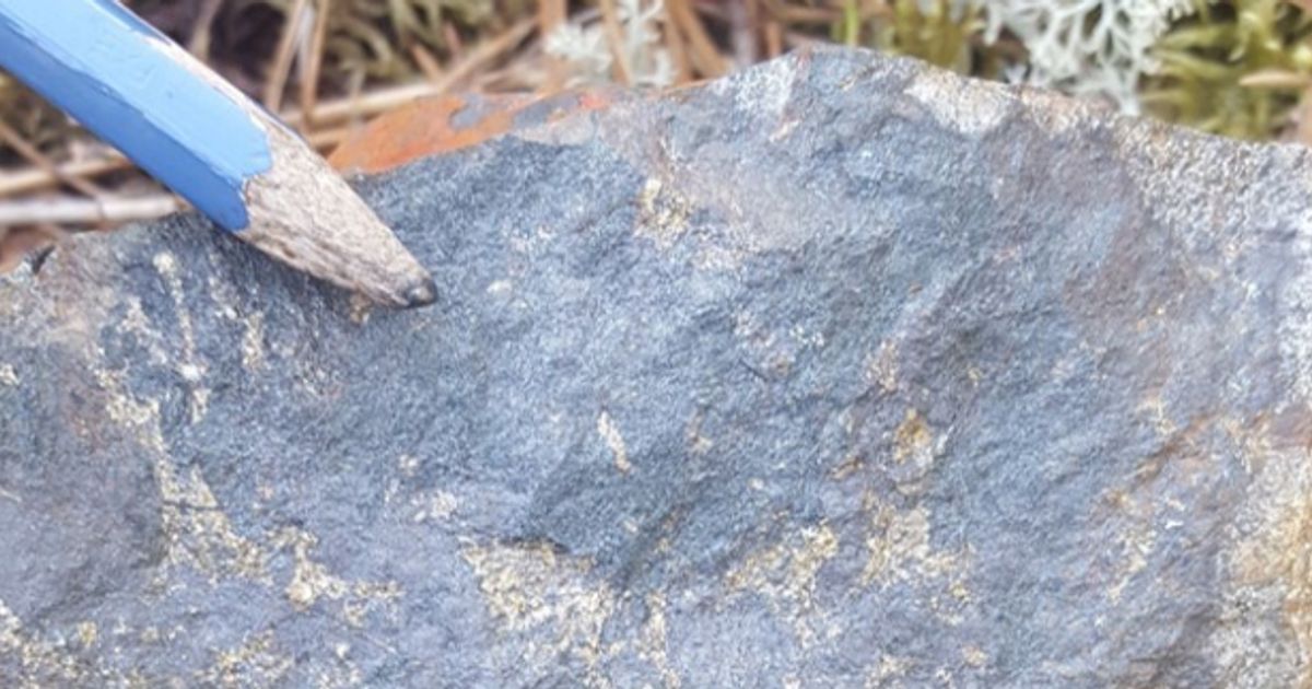 Alicanto Minerals identifies four new copper-gold skarn targets for ...