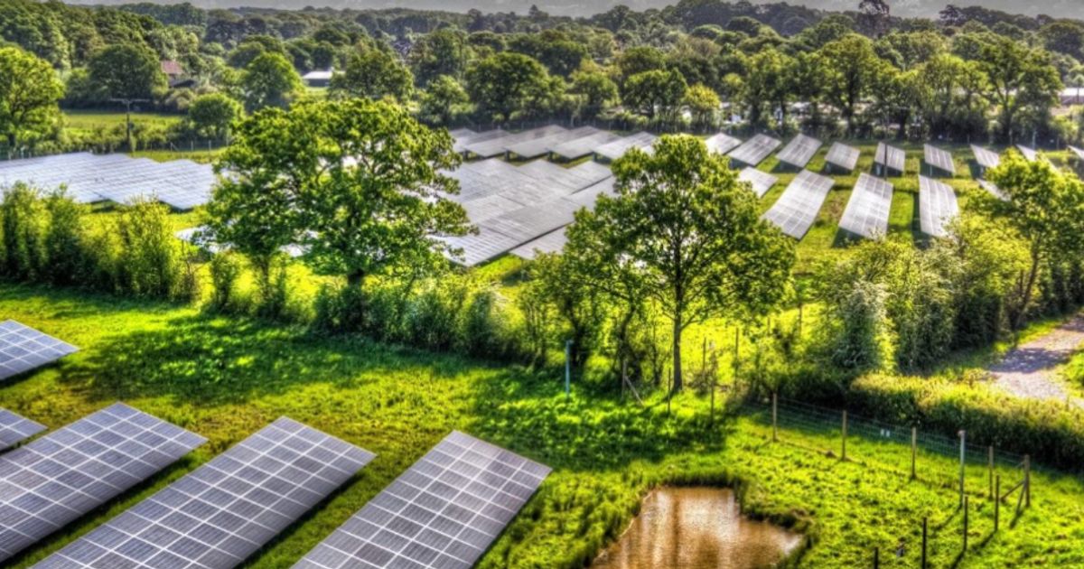 NextEnergy Solar Fund leads the way with low-risk yield and solar know ...