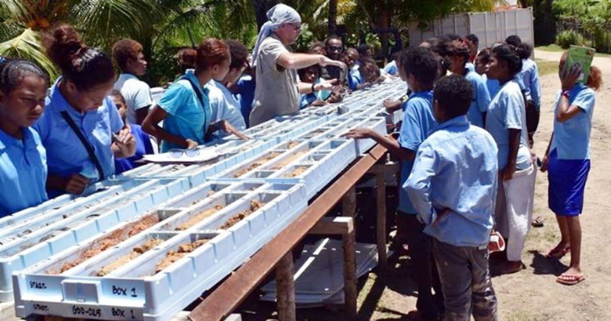 Kingston Resources on-track to complete Misima Gold Project PFS next ...