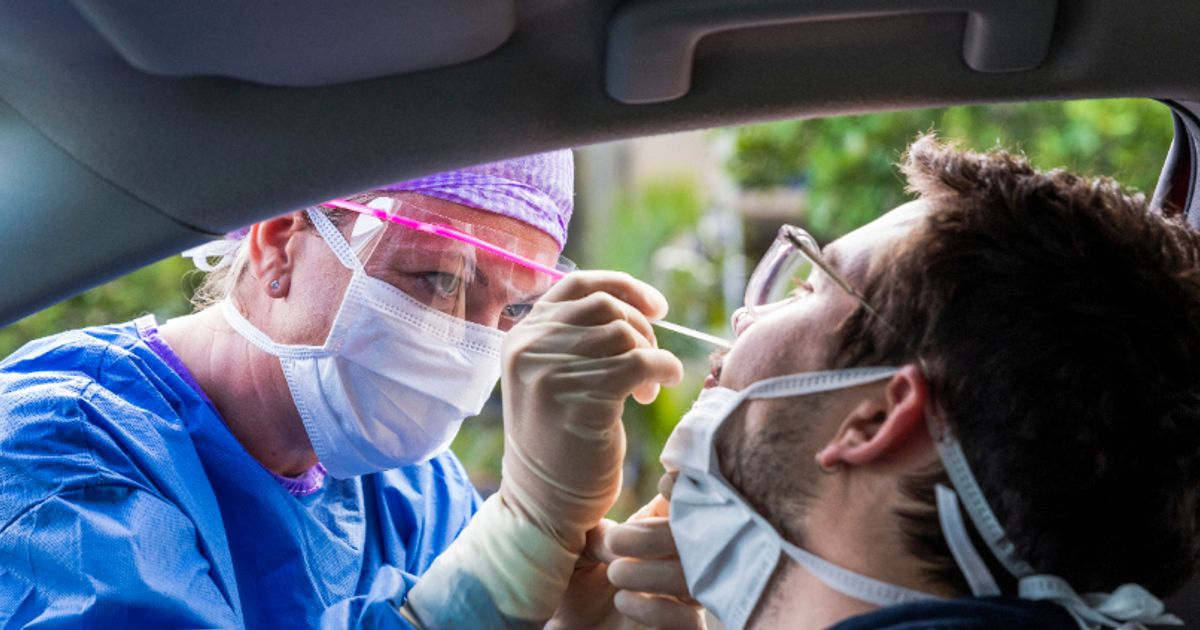 XPhyto touts rapid 25-minute RT-PCR lab test for coronavirus detection ...