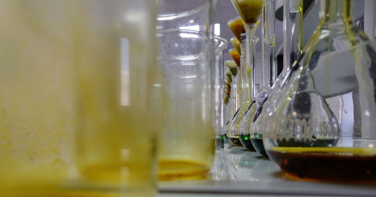 Cyclone Metals has eyes on environmentally-friendly metal processing ...