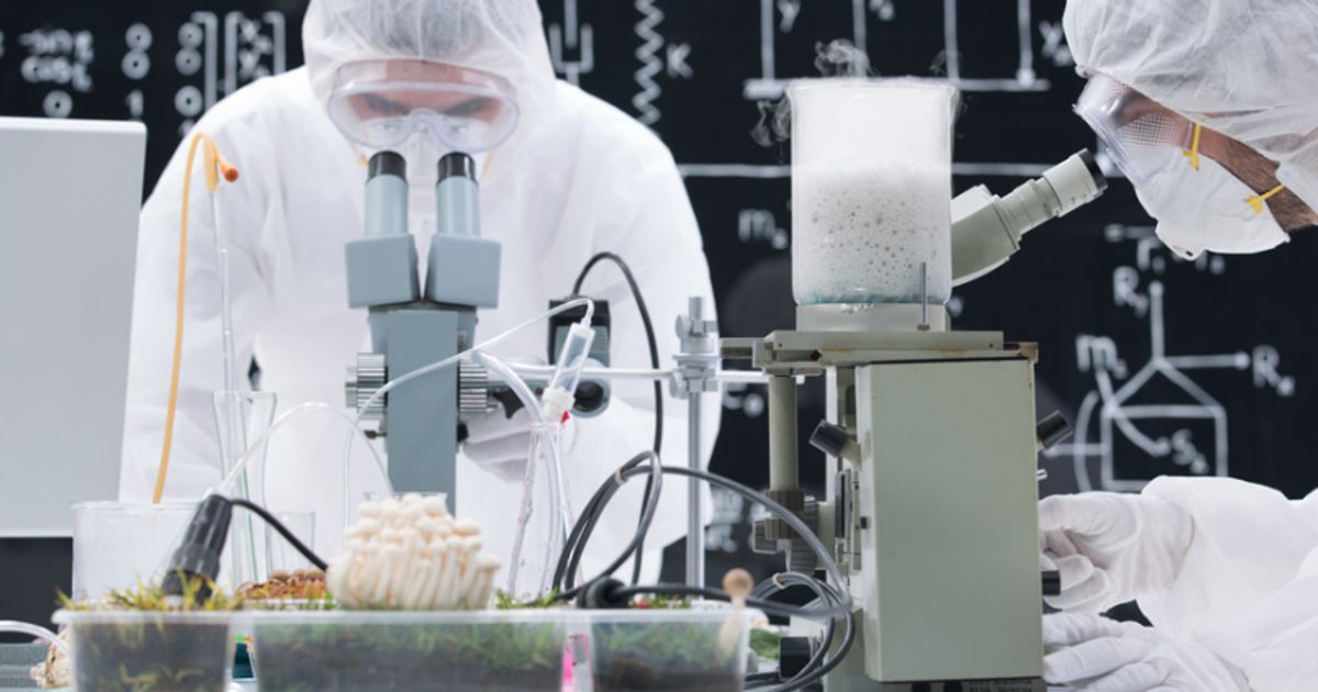 Small Pharma on conducting world’s first clinical trials for ...