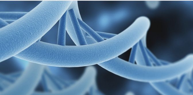 Orthocell’s breakthrough tissue engineering study with CelGro® to ...