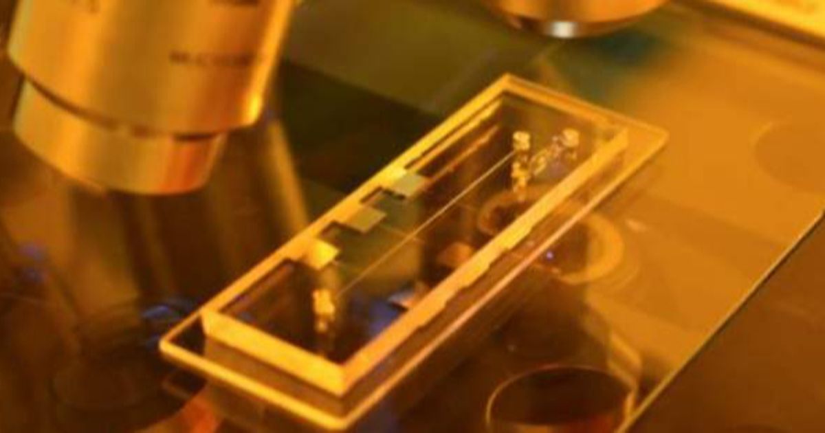 Archer Materials biochip patent application enters US National Phase ...