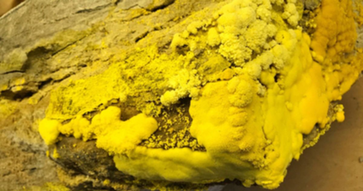 Anson Resources confirms high-grade uranium and vanadium at Yellow Cat ...