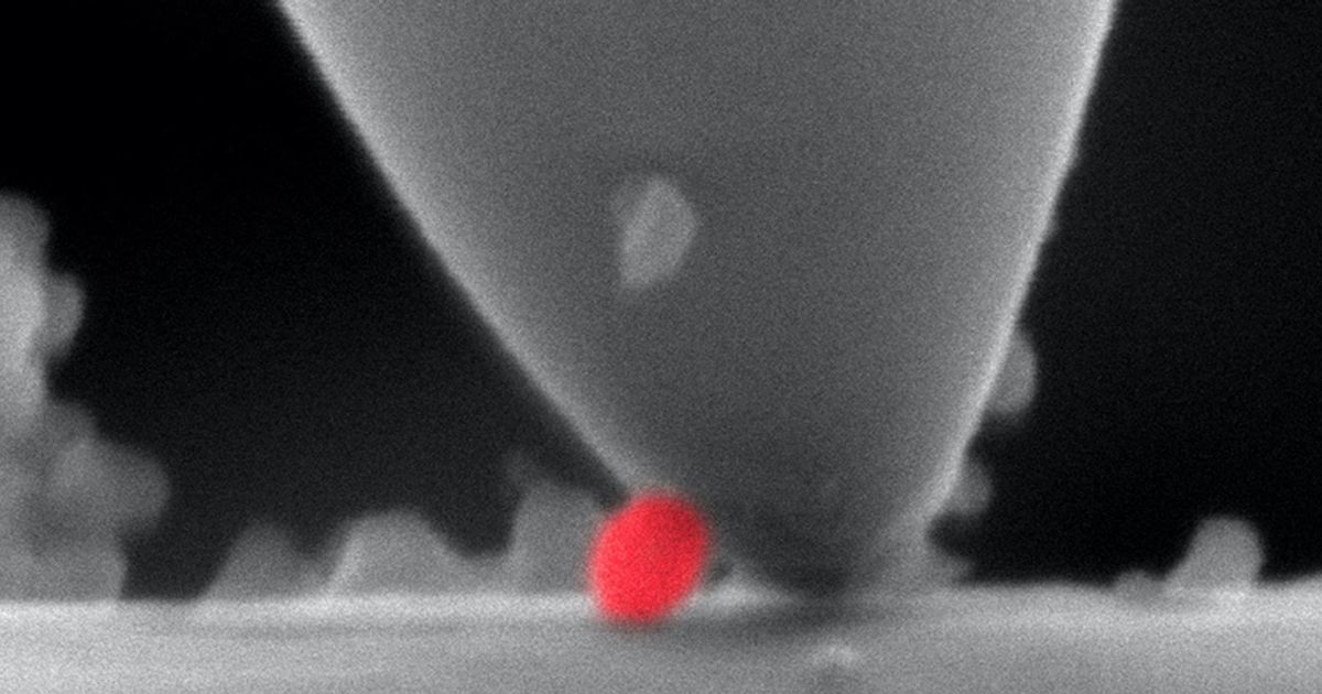 Archer Materials at new record on key 12CQ milestone with electronic ...