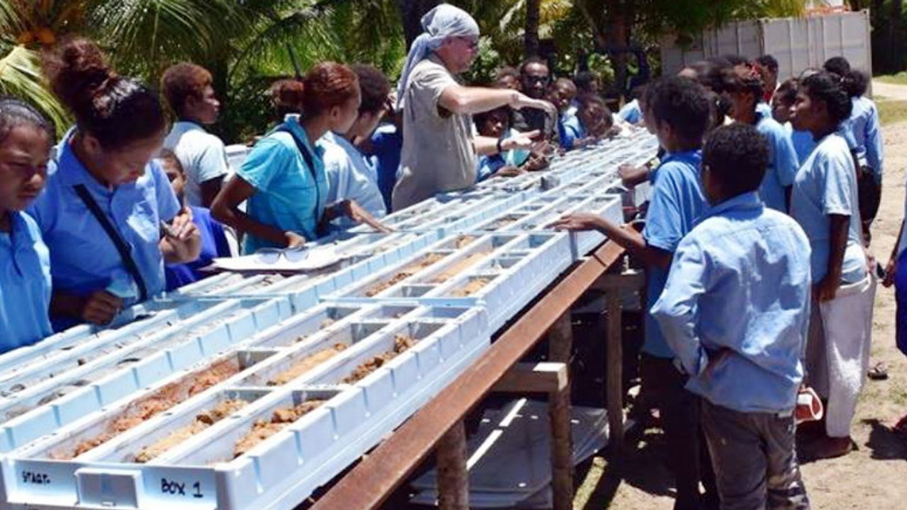 Kingston Resources moves to 100% ownership of 3.6-million-ounce Misima ...