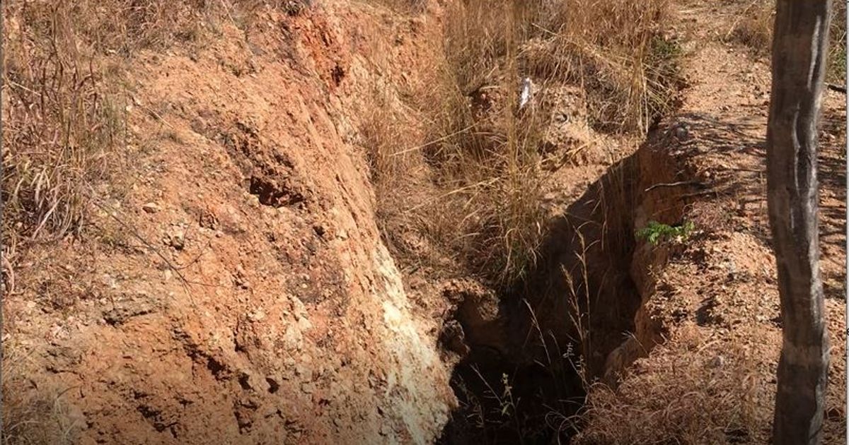 Condor Gold reveals continued progress at its La India gold project in ...