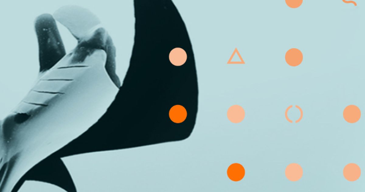 Windward 'super excited to be here in London market' as firm make AIM ...