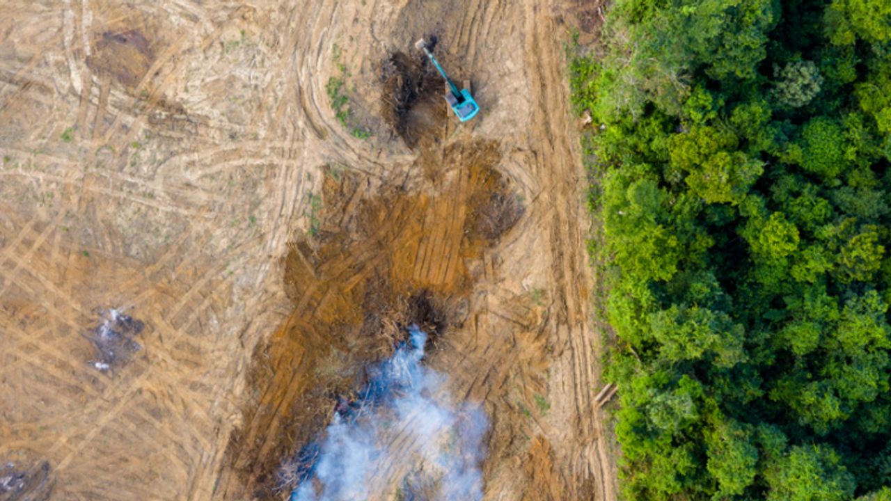 Satellite analysis used to map scale of deforestation by Australia beef ...