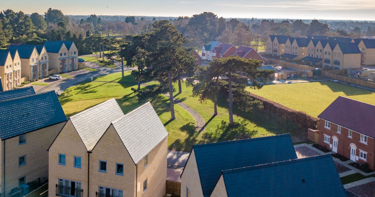 ThinkEquity sees Harbor Custom Development building on its 2021 ...