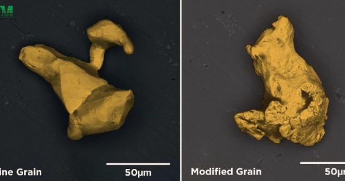 Matador Mining identifies multiple new gold targets near Cape Ray ...