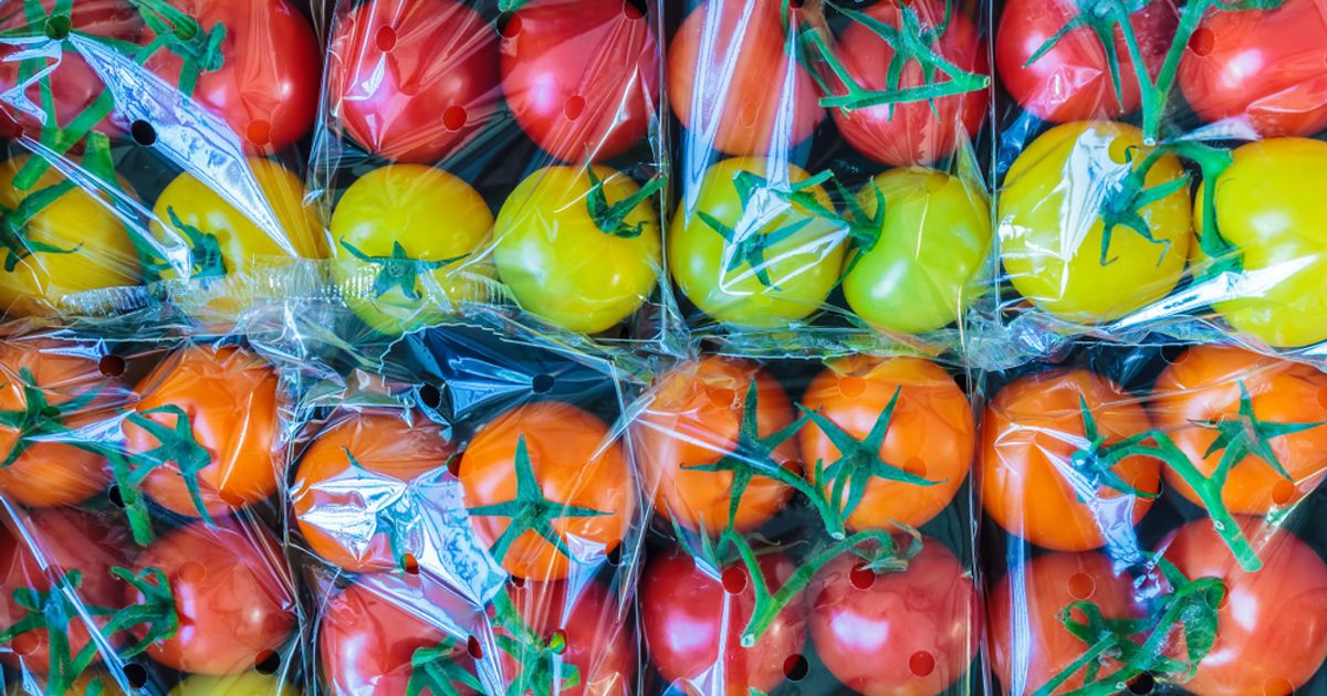 The Fresh Factory helps companies to 're-revolutionize' food to reflect ...