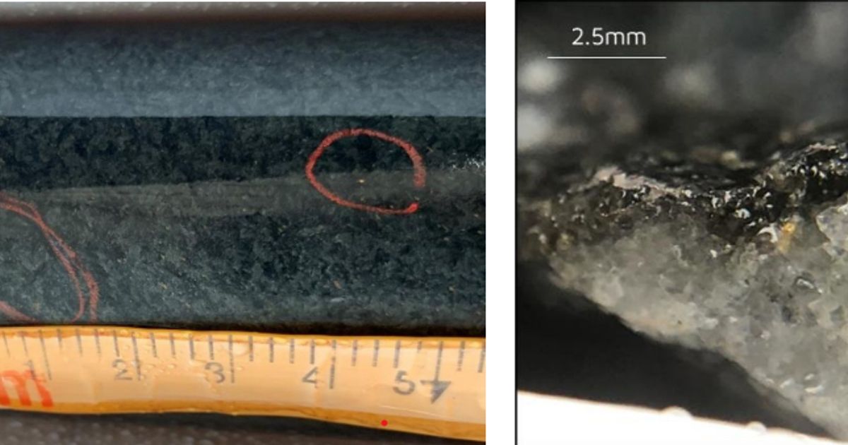 Maximus Resources fields further high-grade gold at Wattle Dam Project ...