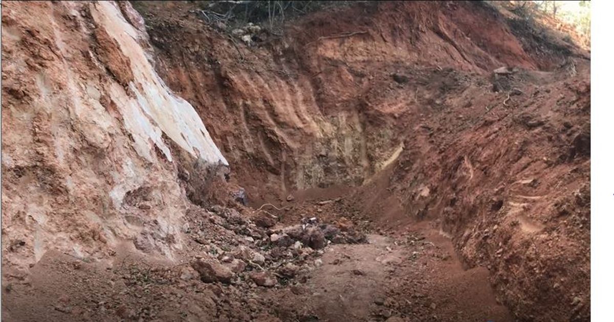 Condor Gold reports 'significant' drilling results from La India open ...