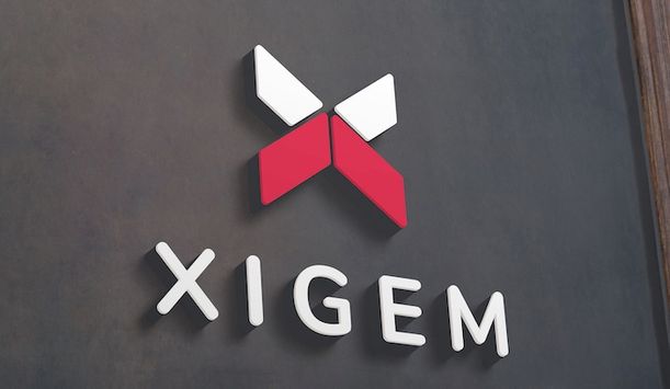 Xigem Technologies Corporation announces appointment of Anthony Cozzi ...