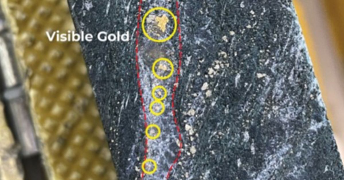 Meeka Gold intersects broad zones of gold including 'bonanza' grade ...