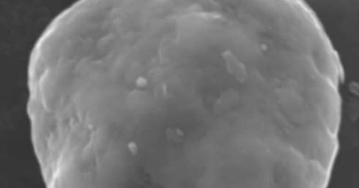 Evolution Energy Minerals delivers “exceptional” yield and performance ...