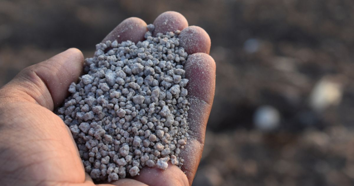 Australian Potash to assess increased production model based on high ...