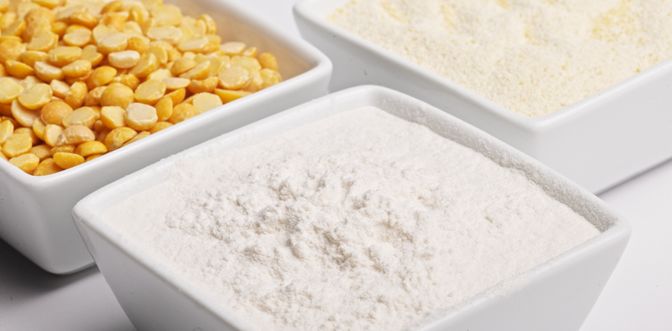 Burcon NutraScience says JV company Merit Functional Foods achieves ...