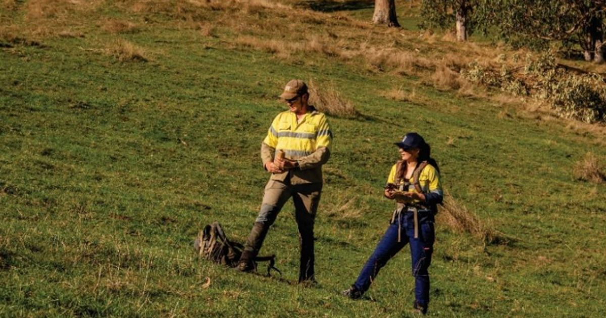 Dart Mining hones in on porphyry targets thanks to soil sampling at ...