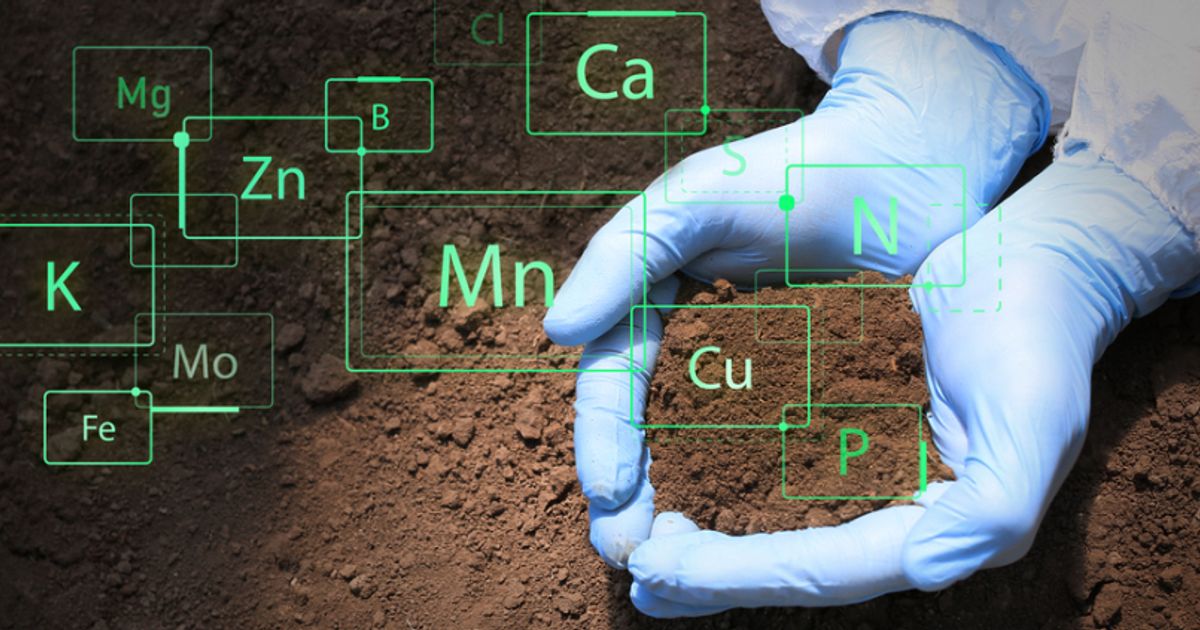 Alchemy Resources finds promising pathfinder elements in Karonie ...