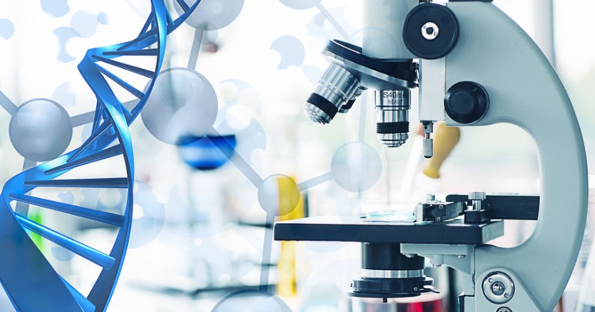 Faron Pharmaceuticals Oy trying to accelerate programmes 'as fast as we ...