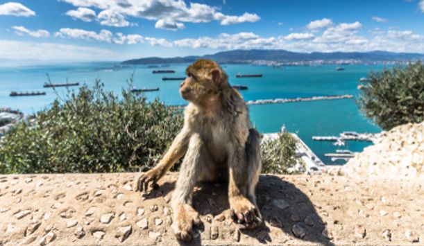 Valereum gears up to take over Gibraltar Stock Exchange