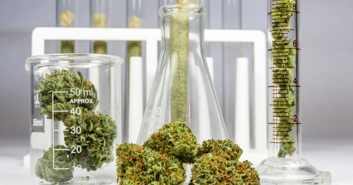 MGC Pharmaceuticals fields positive data from study on drug-resistant ...