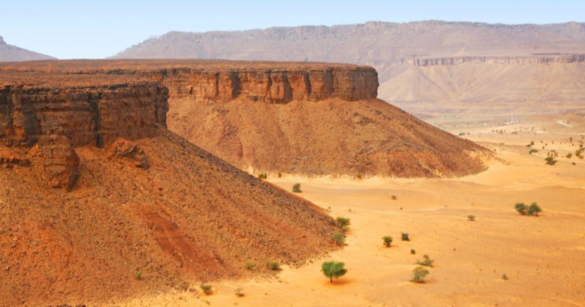 Chariot teams up with Total Eren to develop Mauritania green hydrogen ...