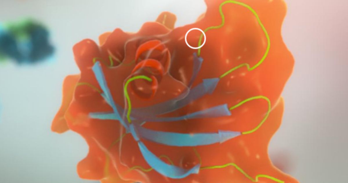 Avacta moves onto next phase of cancer study | AIM:AVCT
