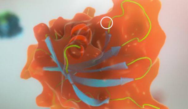 Avacta moves onto next phase of cancer study | AIM:AVCT