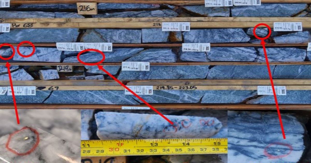 Tempus Resources encouraged by visible gold and wide zones at No.9 Vein ...