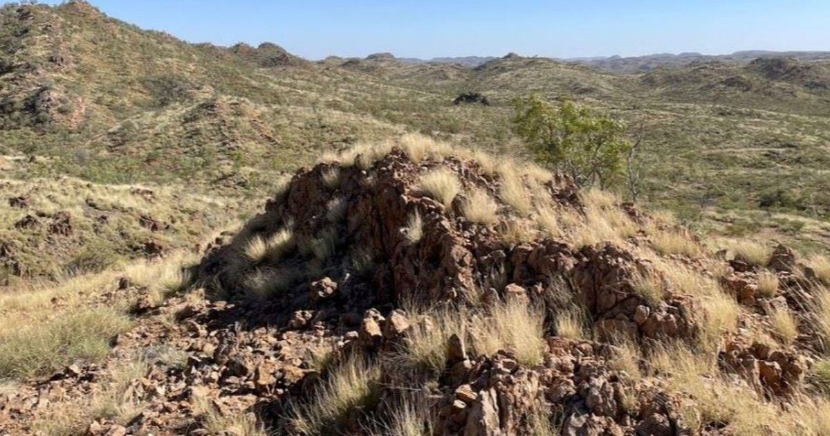 Cooper Metals unearths three plunging copper-gold shoots at King ...