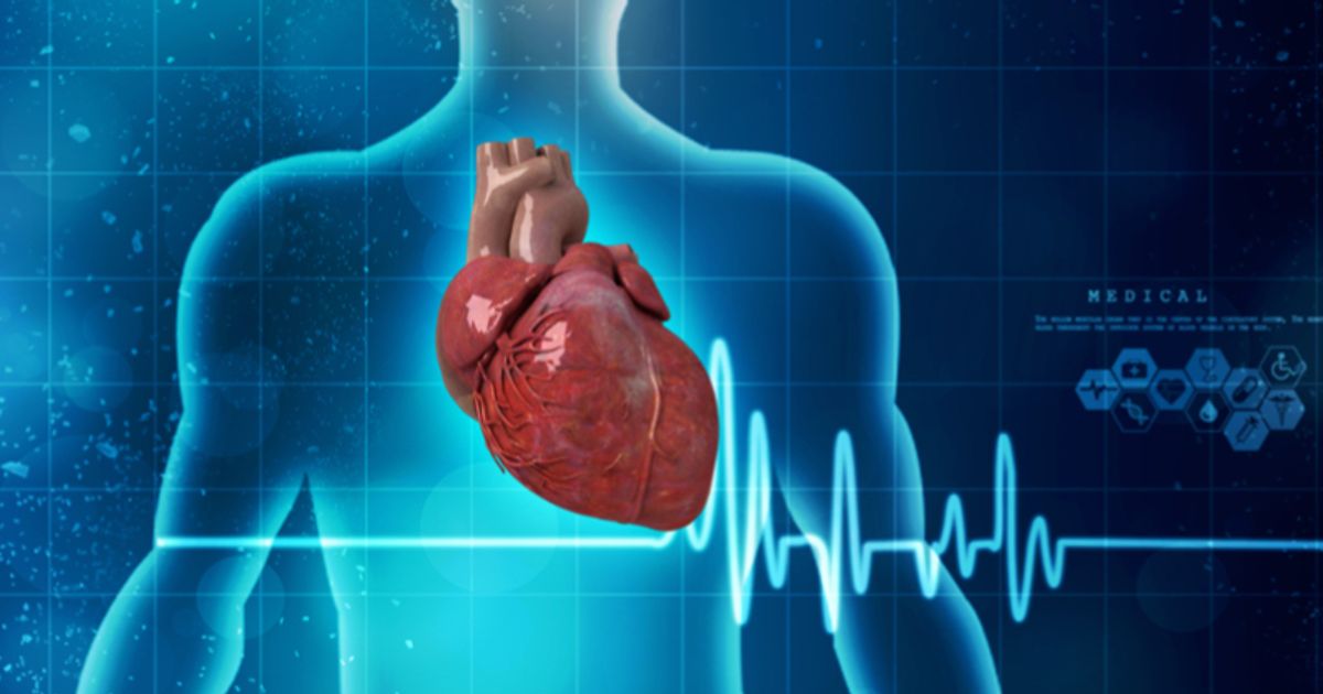 Anteris Technologies has valve world talking about 'human-like ...